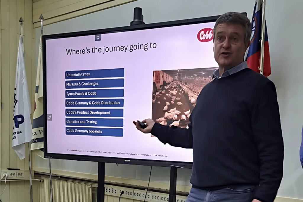 Gelungener Workshop zum Abschluss des Jahres 2024 in Slowenien - wimex ...